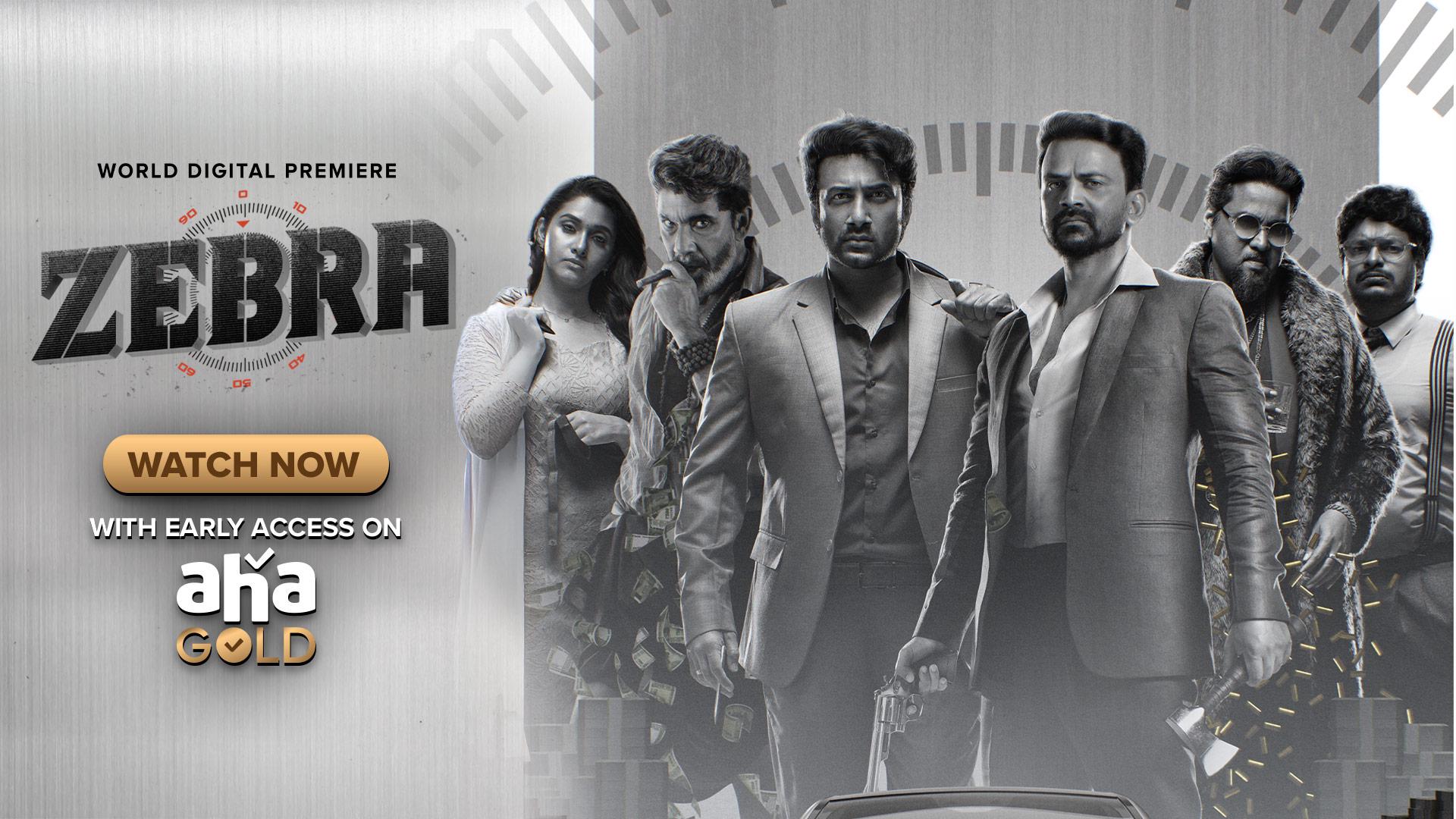 Watch Zebra 2024 Full HD movie Online or Download Now